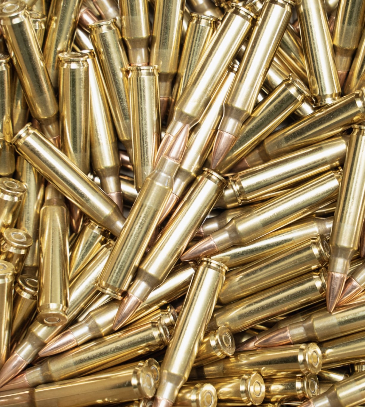 Design, Develop and Testing of Precision Ammunition | AN Precision Ltd